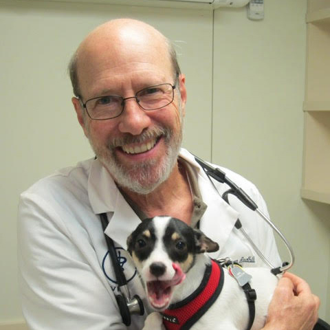 Veterinarian and Animal Hospital in Huntingdon Valley, PA | World of ...